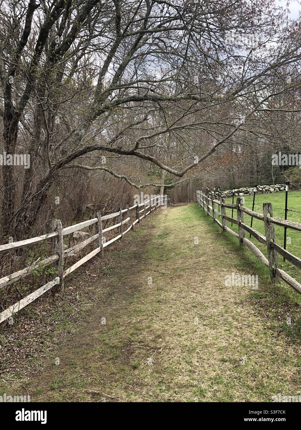 Field path hi-res stock photography and images - Alamy