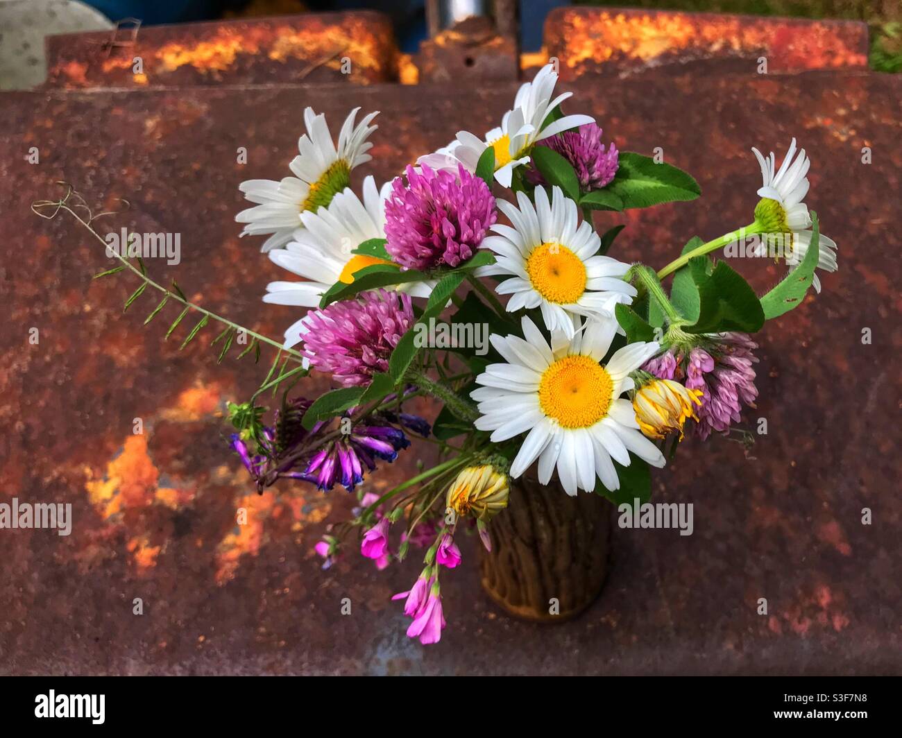 Nosegay High Resolution Stock Photography and Images - Alamy