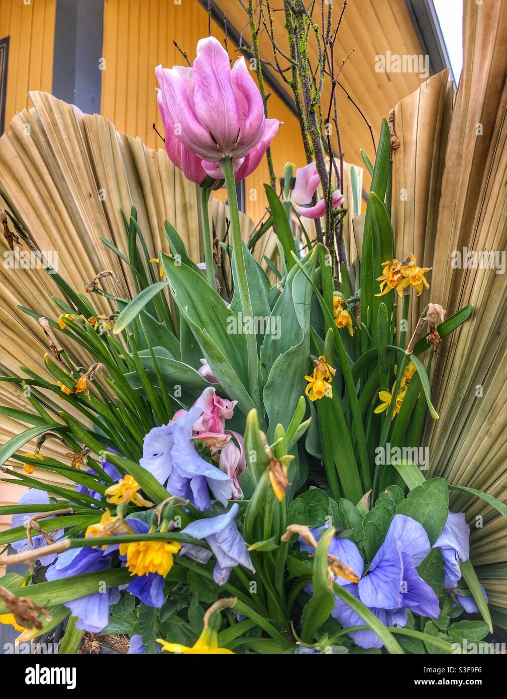 Spring floral display hi-res stock photography and images - Alamy