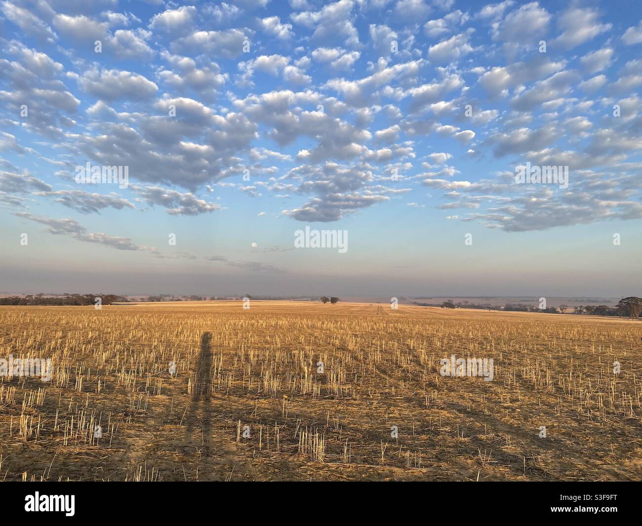 Wheatbelt hi-res stock photography and images - Alamy