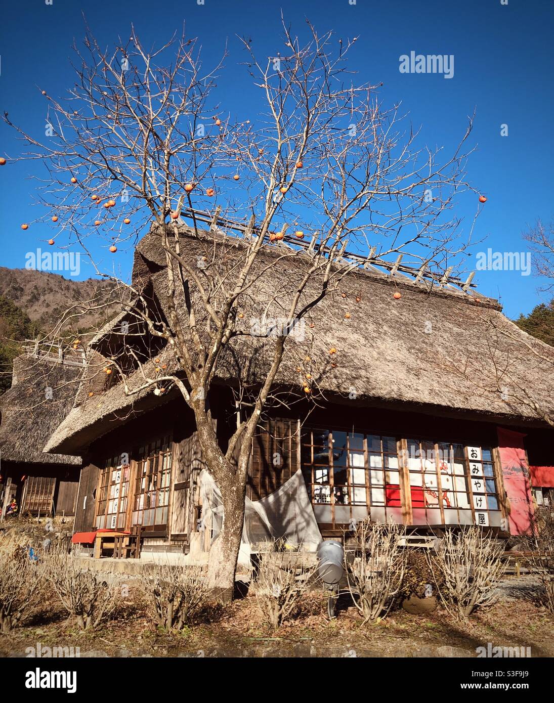 Japanese hut hi-res stock photography and images - Alamy