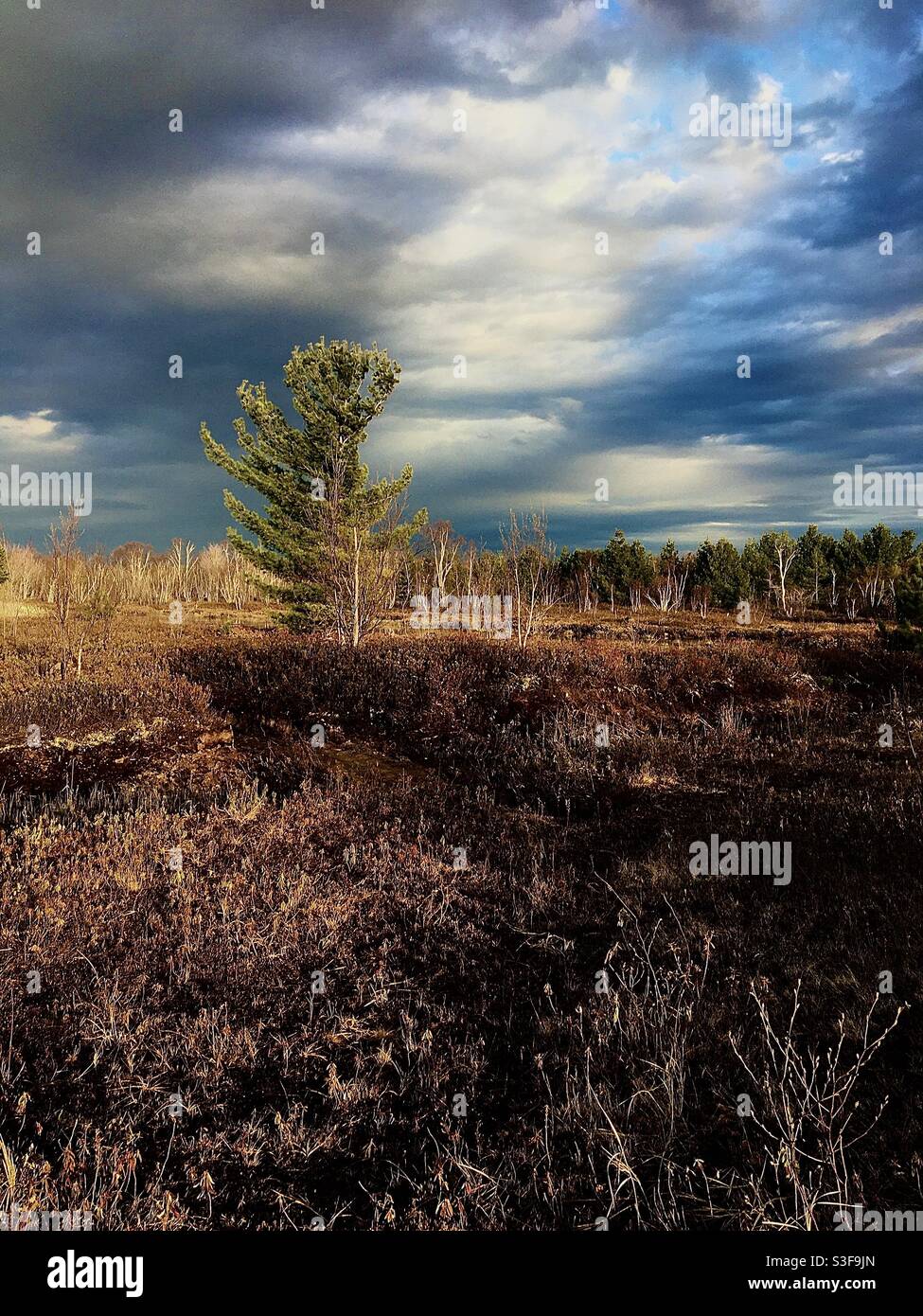 High contrast photo hi-res stock photography and images - Alamy