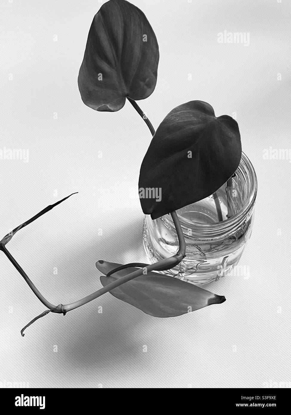 Mason jar money hi-res stock photography and images - Alamy