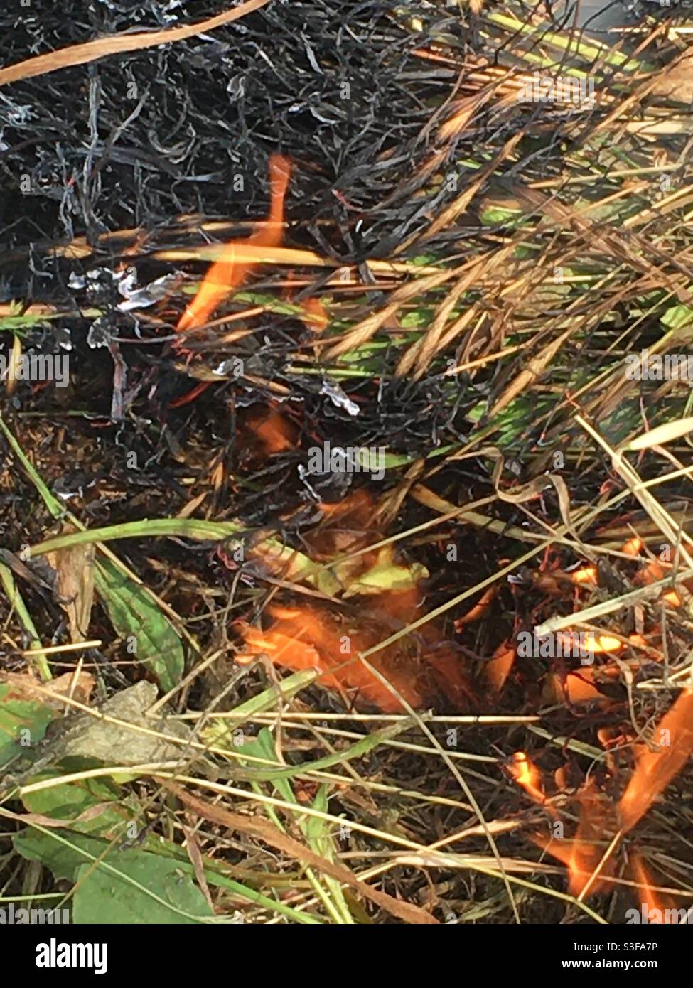 Burning Dry Grass High Resolution Stock Photography and Images - Alamy
