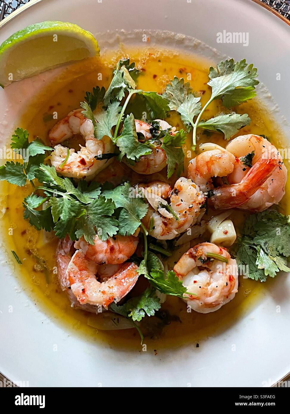 Flat lay of a gourmet meal of shrimp scampi garnish with cilantro Stock ...