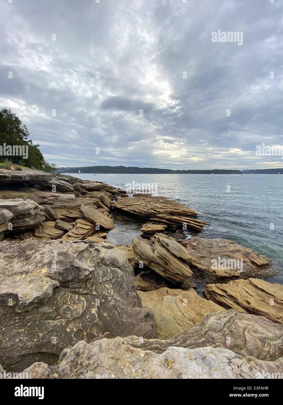 Watsons bay water hi-res stock photography and images - Alamy