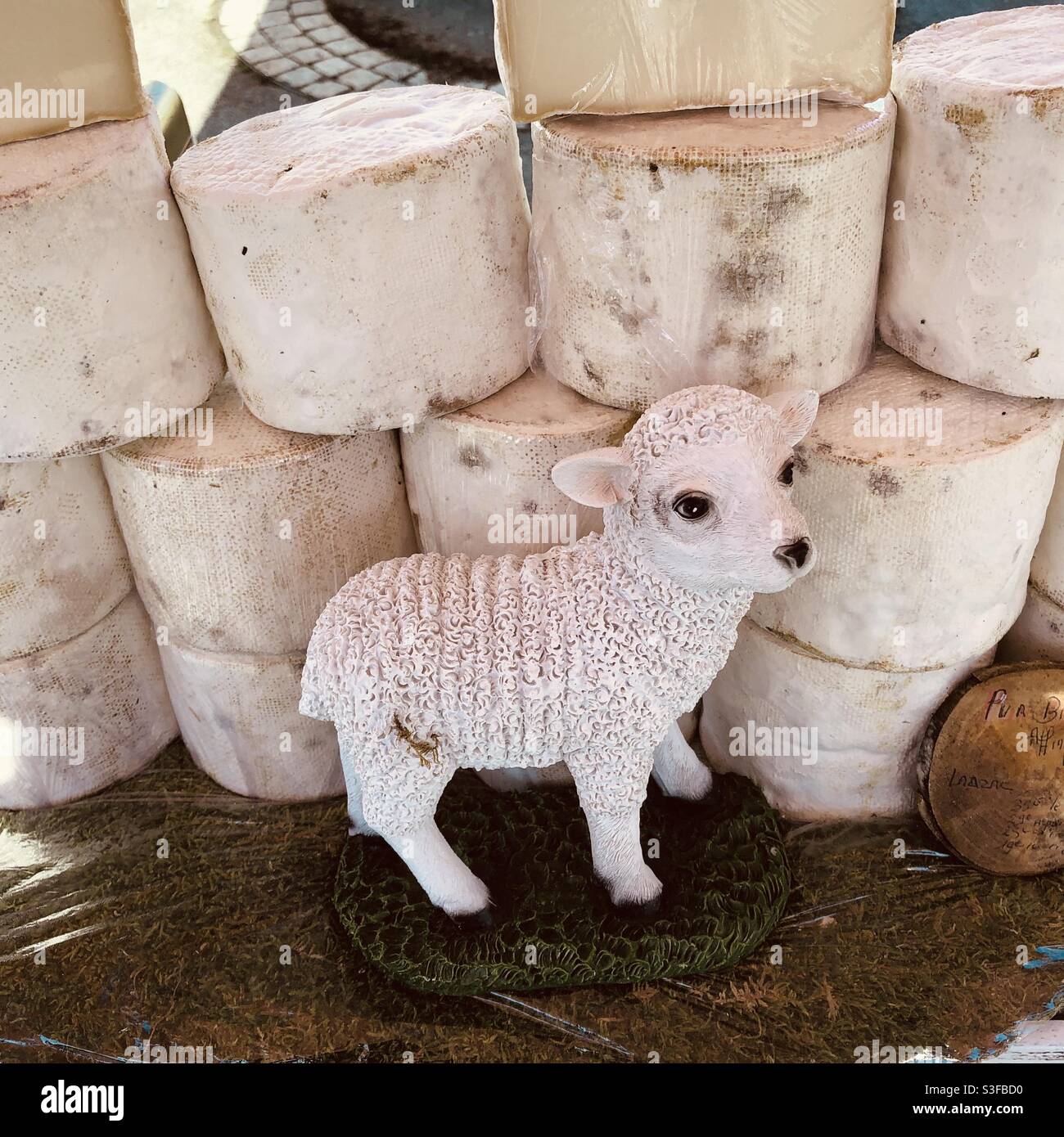 Round cheese cheeses hi-res stock photography and images - Alamy