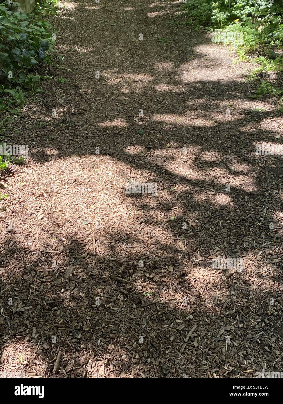 Dappled light hi-res stock photography and images - Alamy