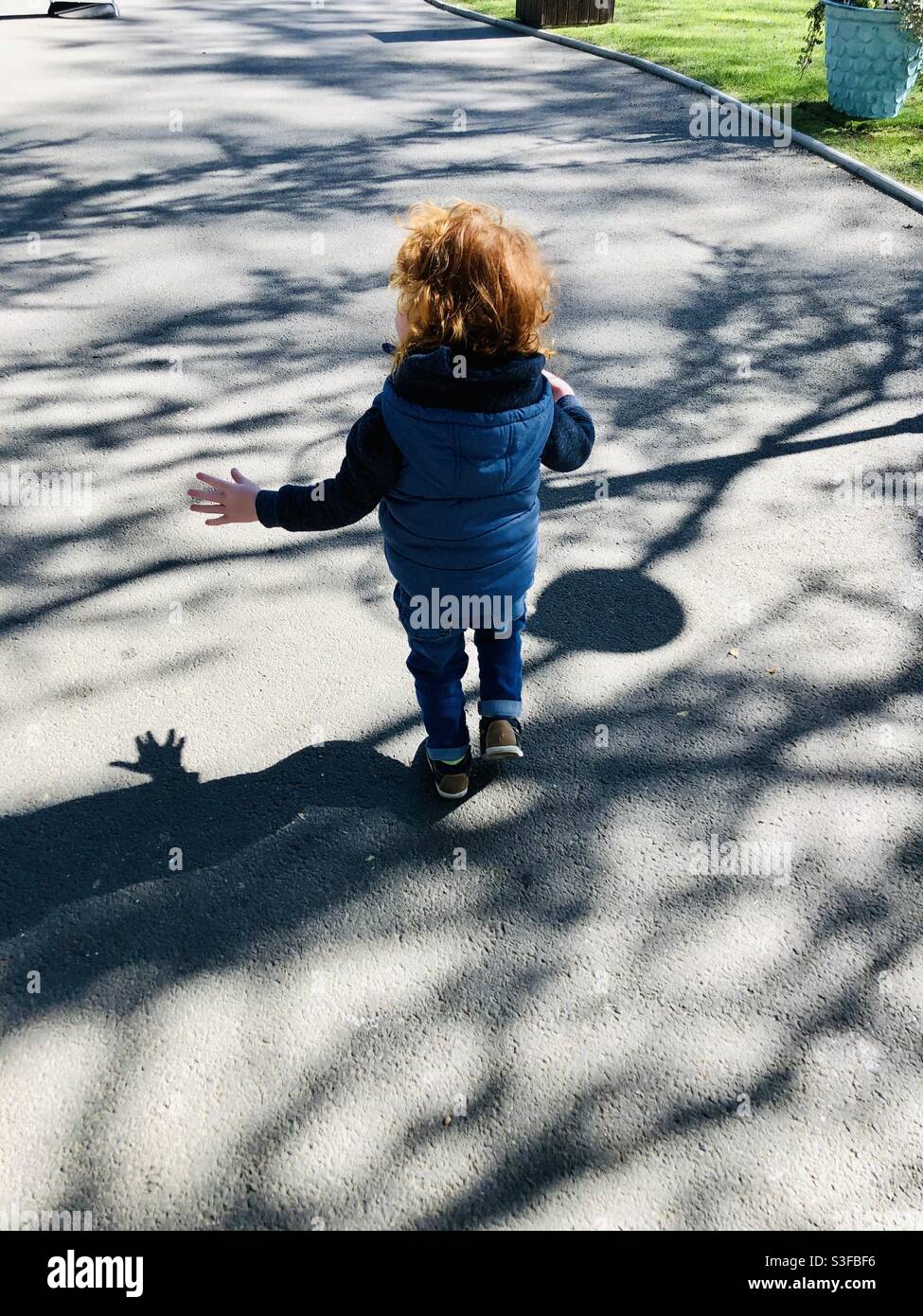 Shadows of trees hi-res stock photography and images - Alamy