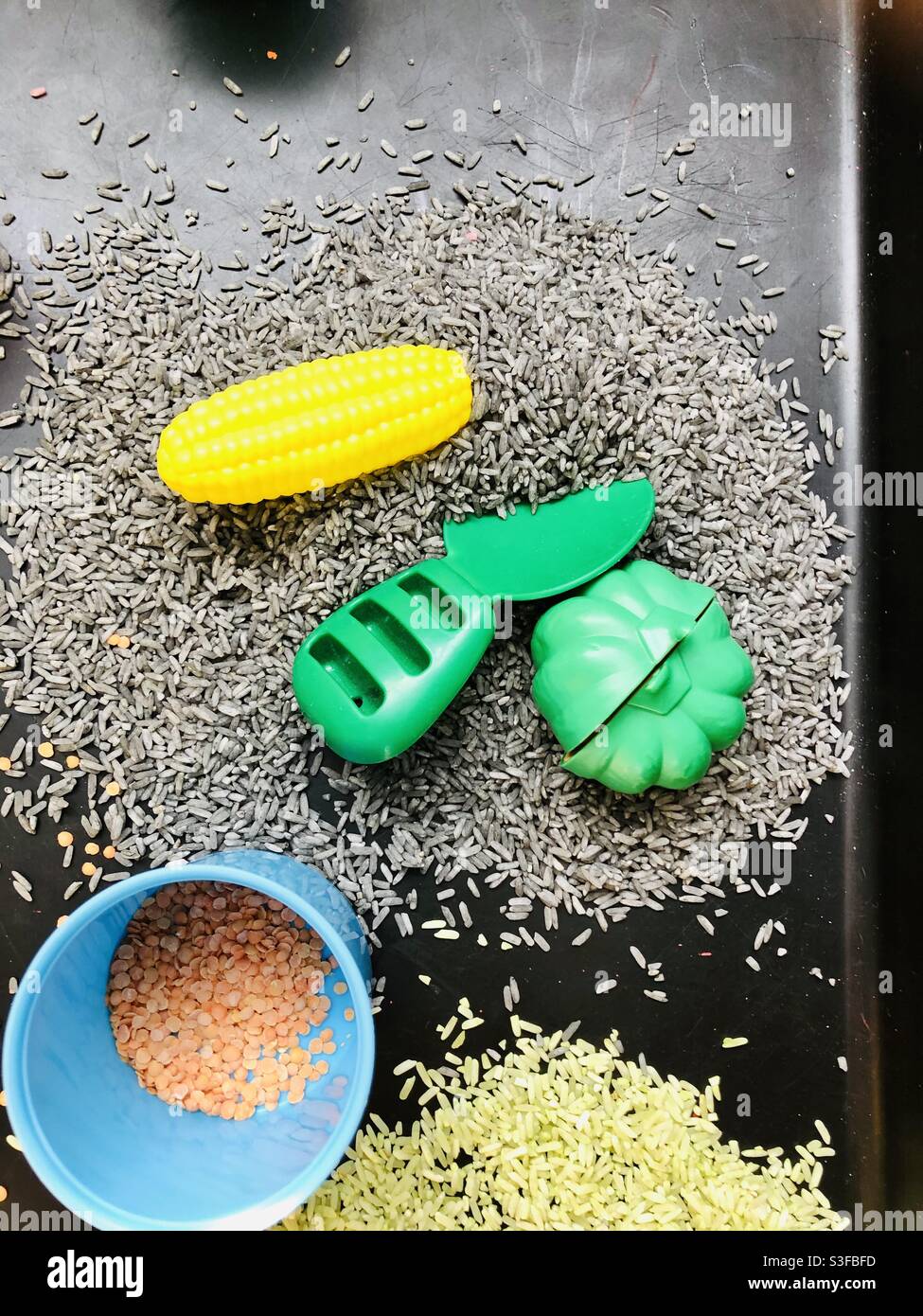 Kids activity set up vegetable patch theme with dyed rice and lentils ...
