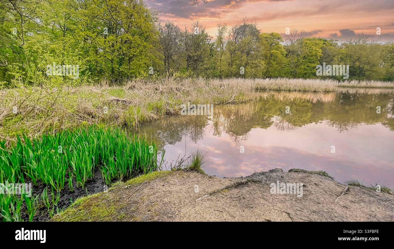 Pudsey yorkshire High Resolution Stock Photography and Images - Alamy