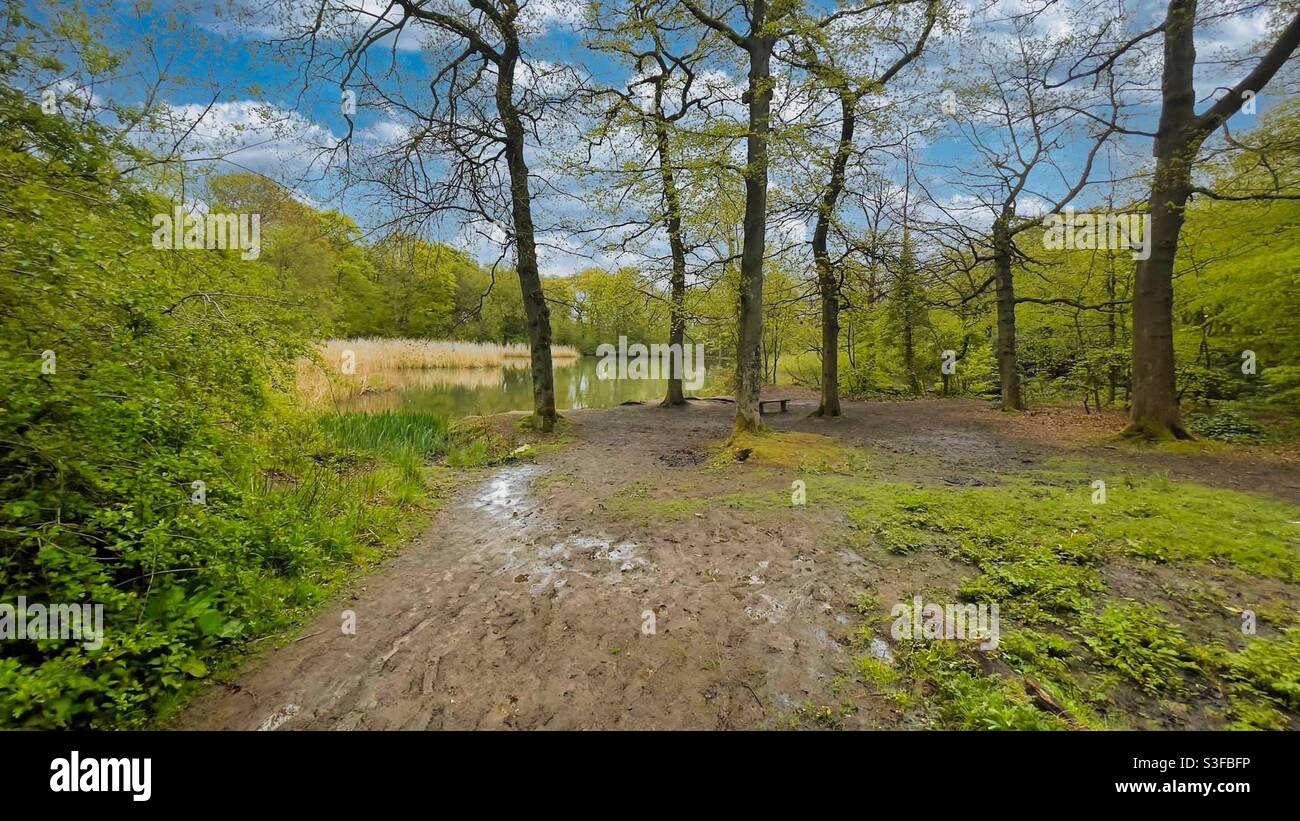 Pudsey yorkshire High Resolution Stock Photography and Images - Alamy