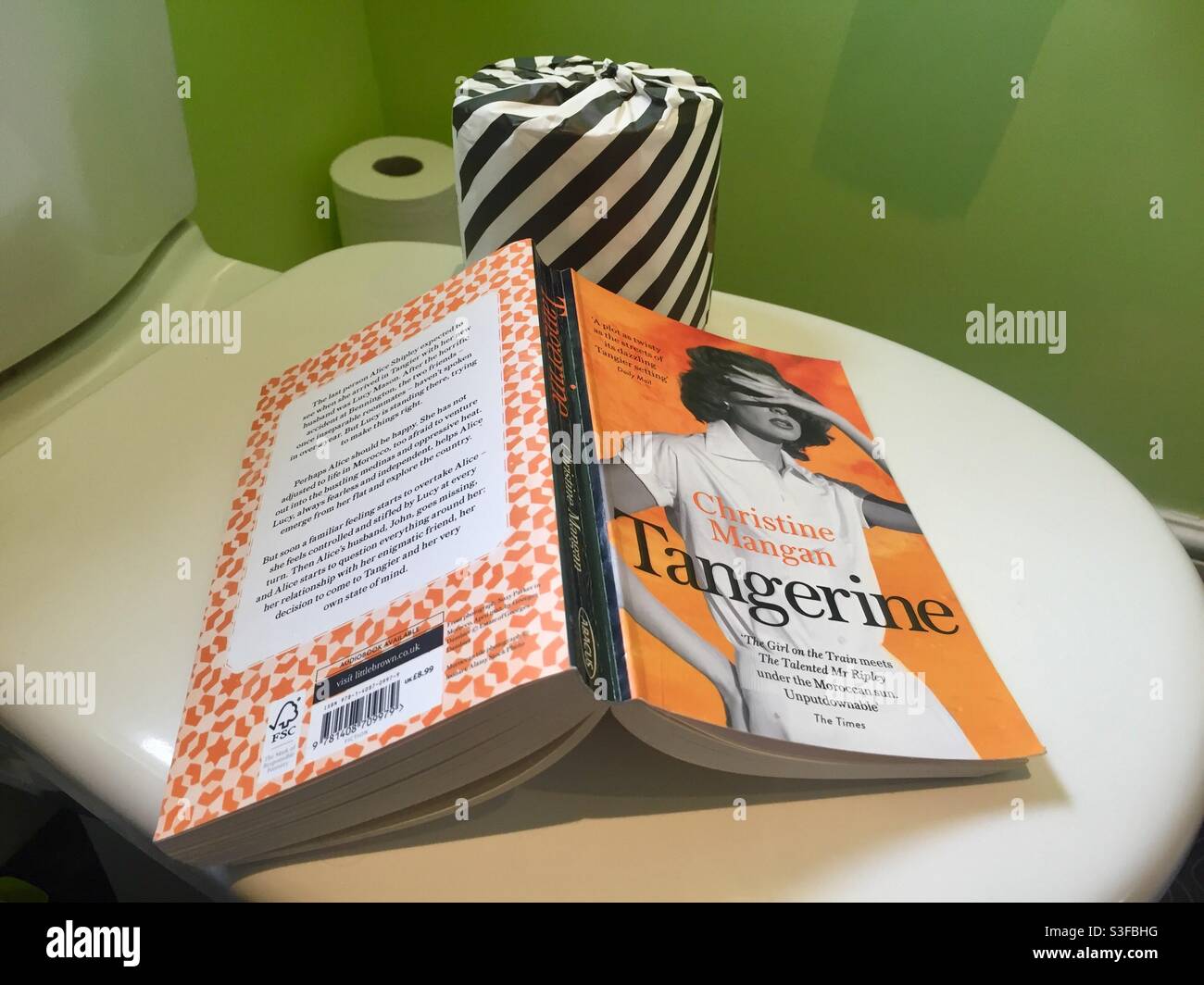 Reading on toilet hi-res stock photography and images - Alamy