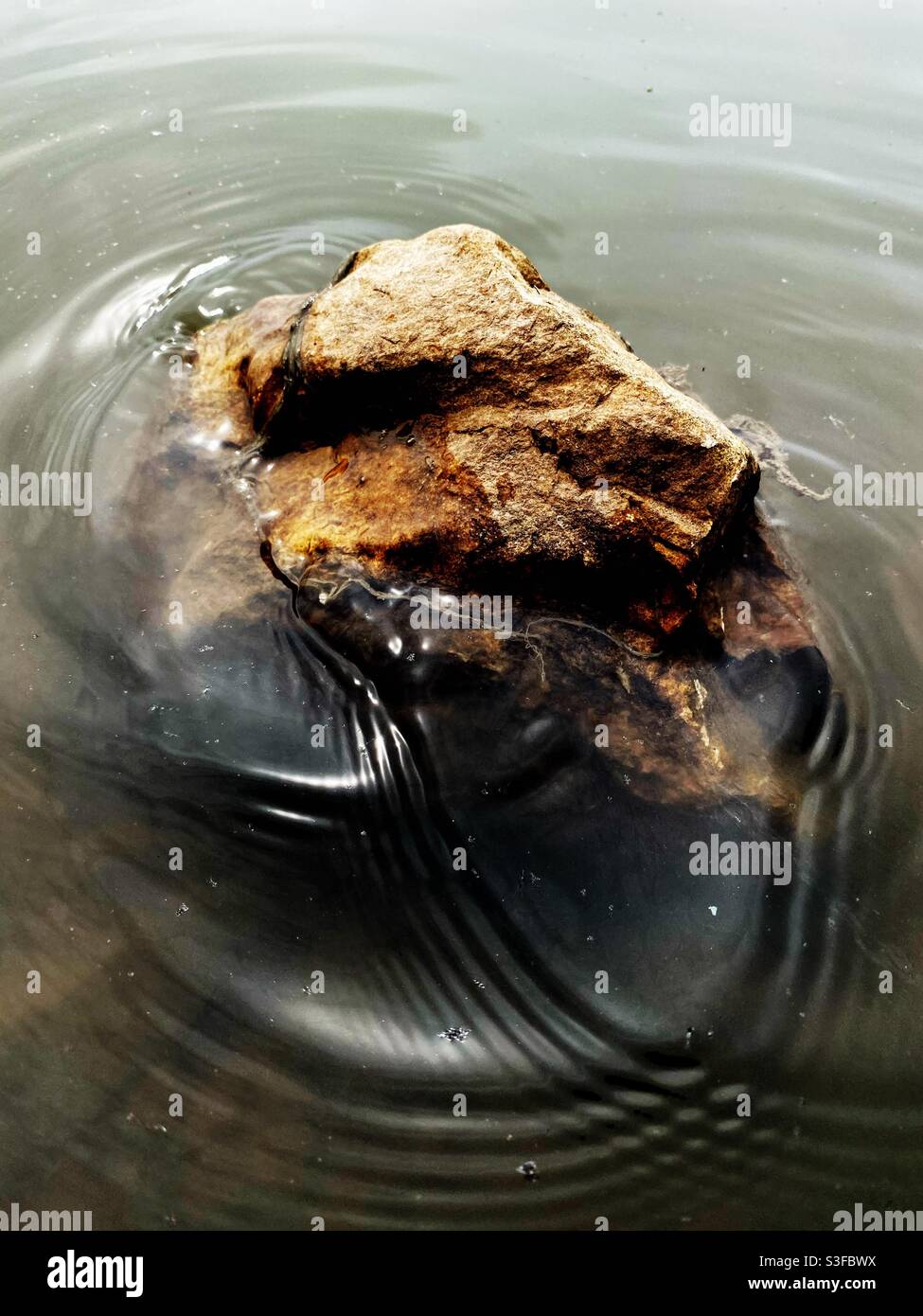 Rock in water hi-res stock photography and images - Alamy