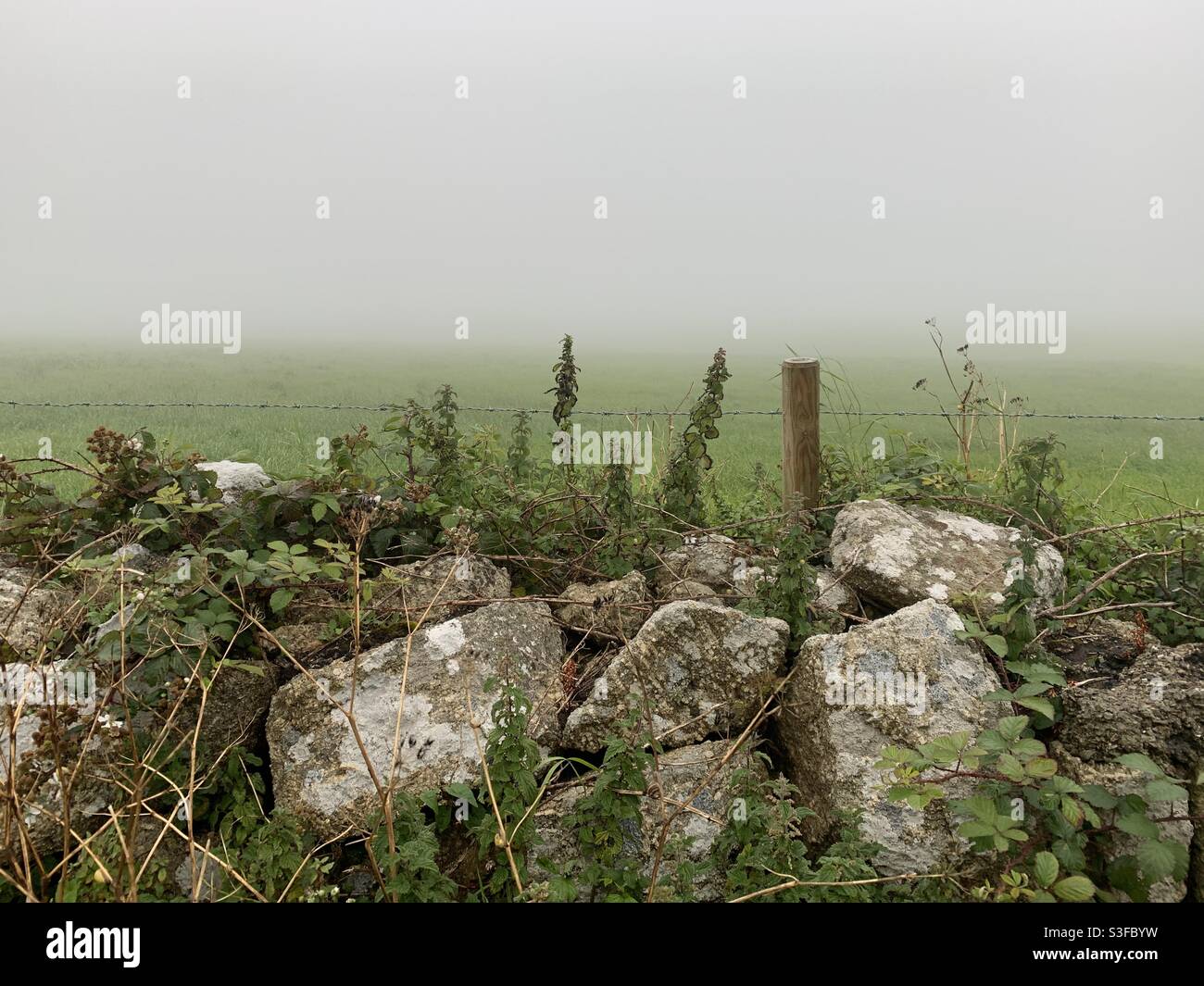 Cornish Dry Stone Wall High Resolution Stock Photography and Images - Alamy