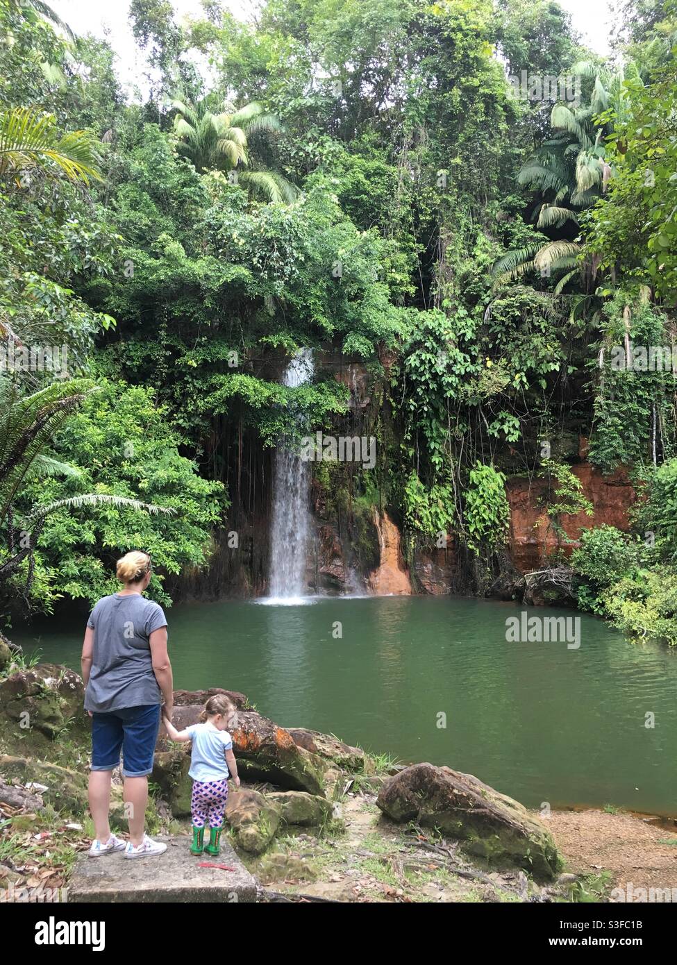 Brunei jungle hi-res stock photography and images - Alamy