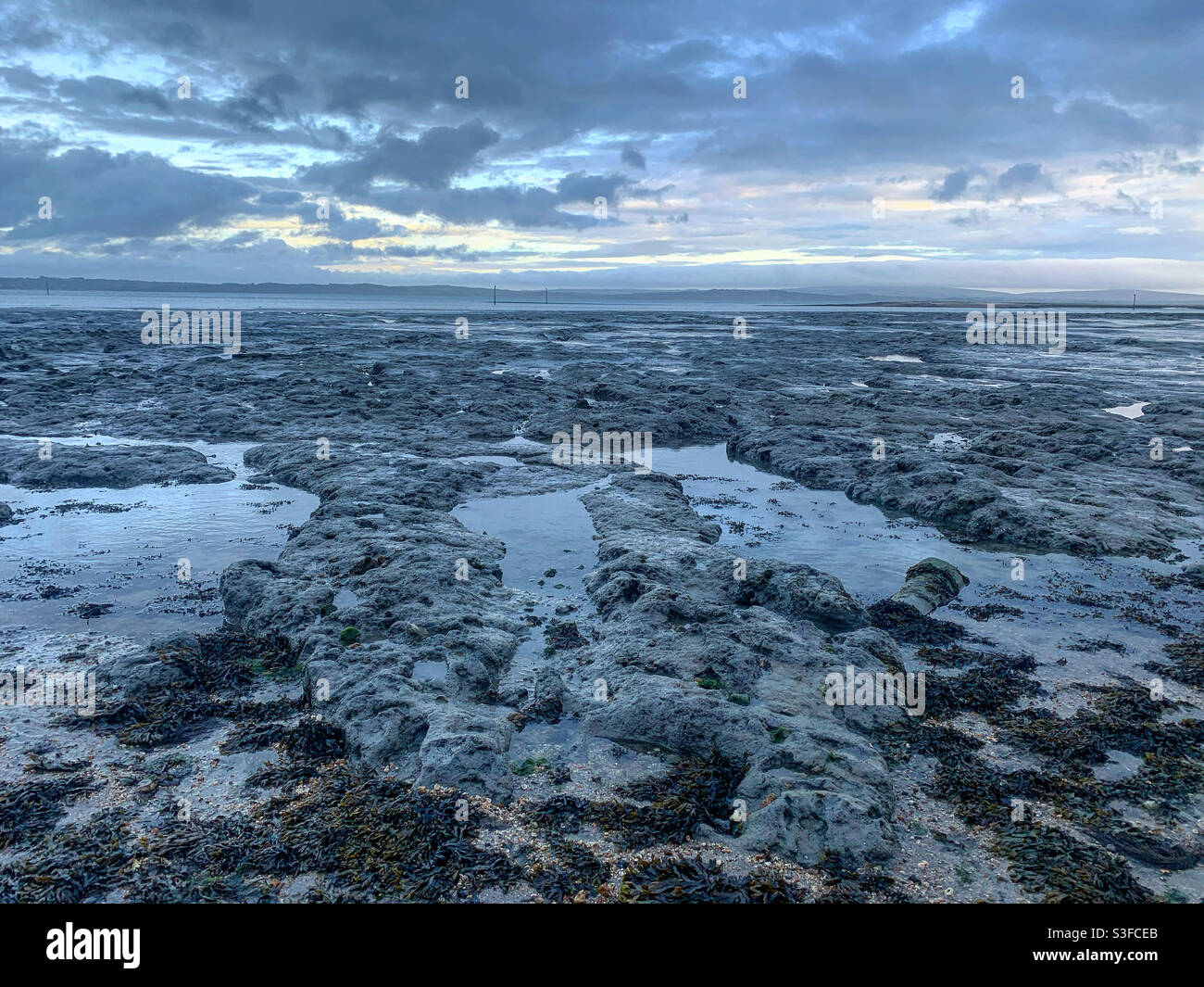 Beach mud coast coastal hi-res stock photography and images - Alamy