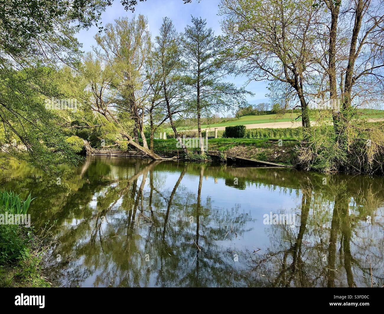 Tree lined river bank in Spring - river Claise, Indre-et-Loire (37 ...