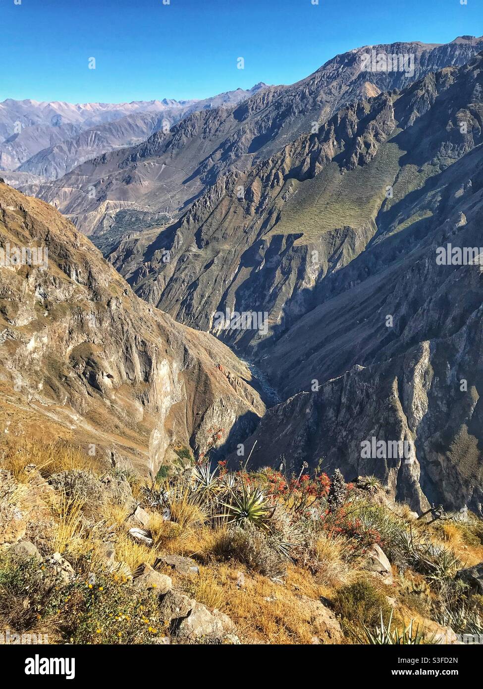 Colca canyon, Peru Stock Photo - Alamy