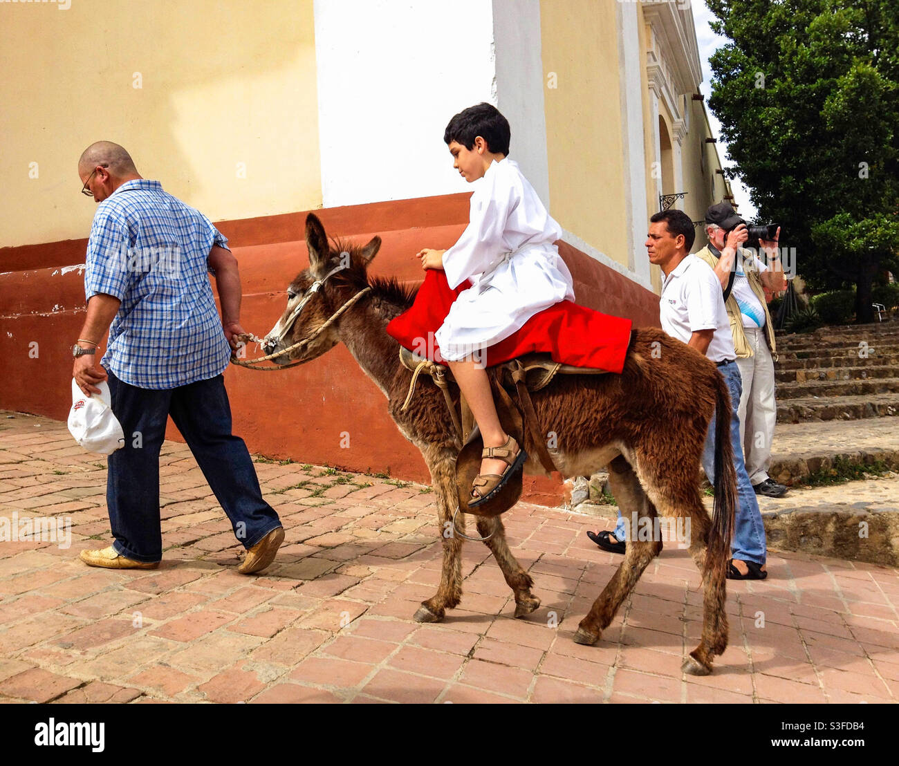 Young boy riding donkey during Palm Sunday religious procession ...