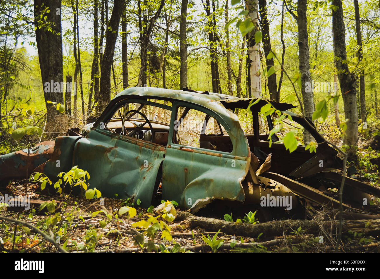 Human pollution hi-res stock photography and images - Alamy