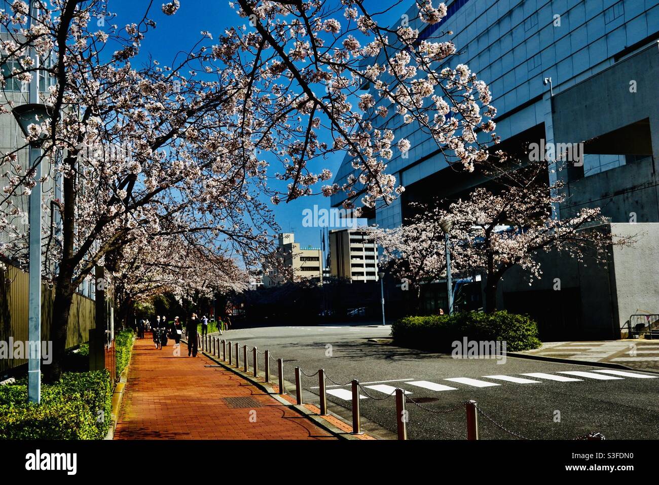 Tokyo Edo Museum is located in Sumida City, Tokyo, Japan Stock Photo ...