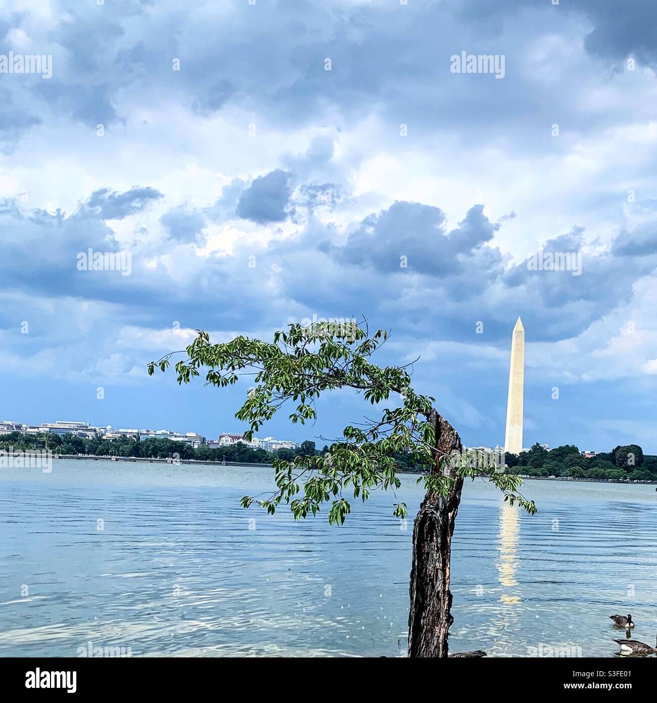 Washington monument across river hi-res stock photography and images ...