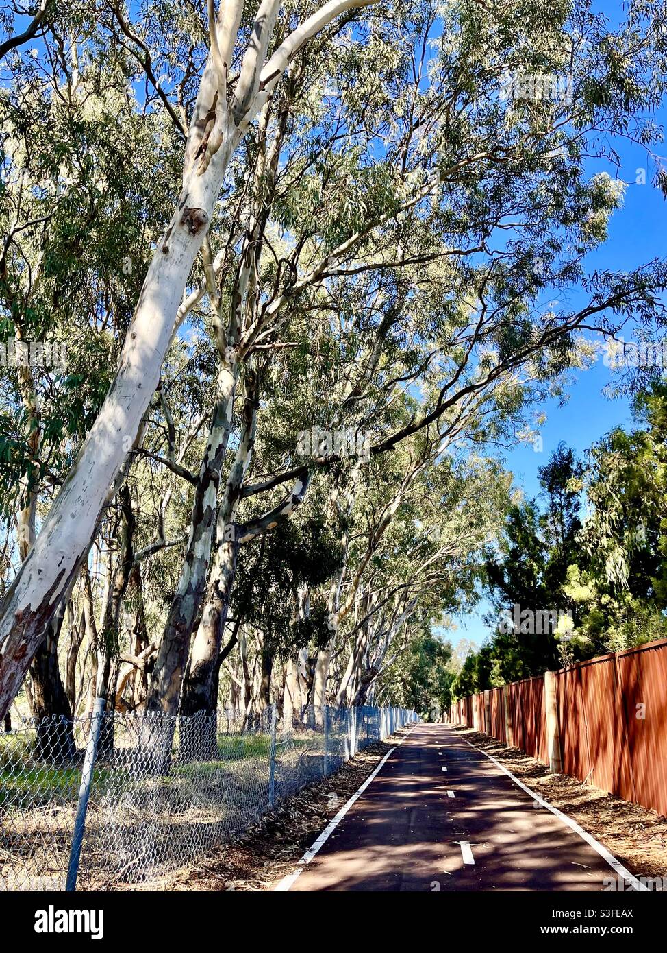 Bikepath cycleway hi-res stock photography and images - Alamy