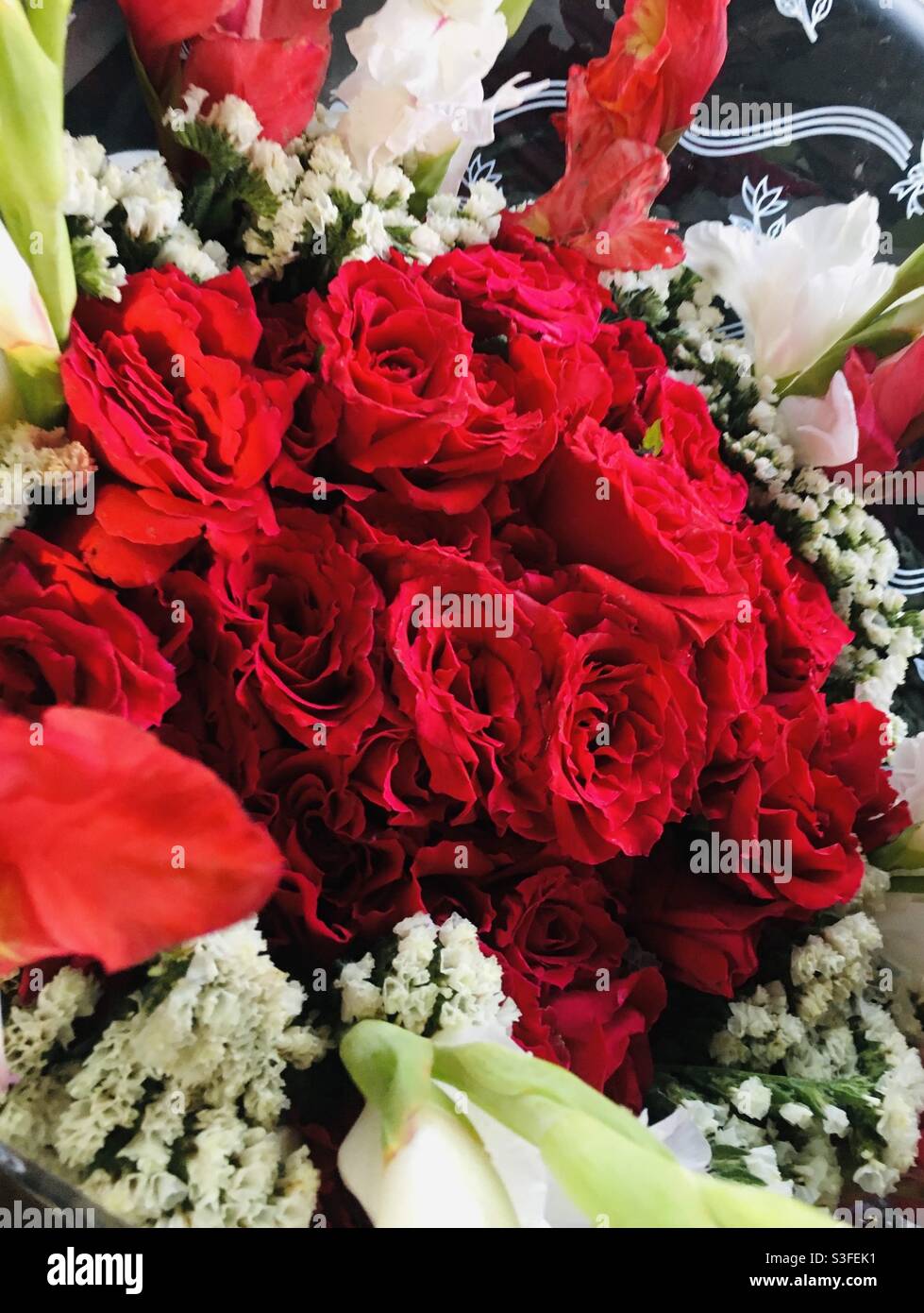 Fragrant roses hi-res stock photography and images - Alamy