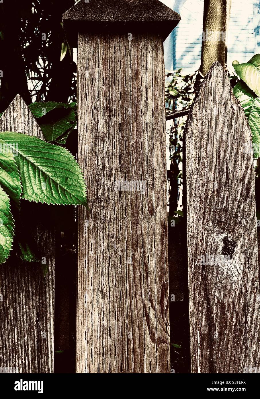 Tall fence hi-res stock photography and images - Alamy