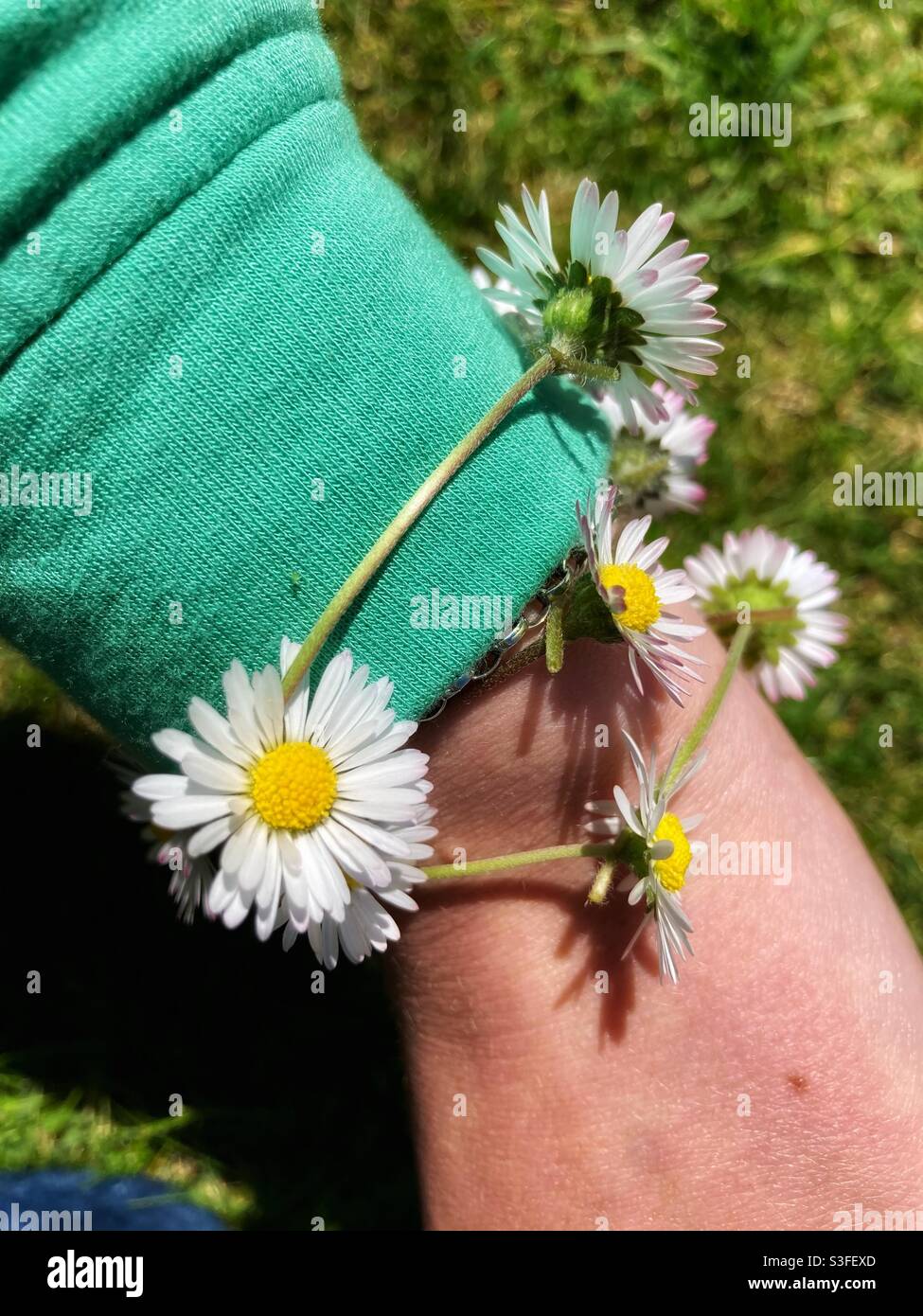 Daisy chain hi-res stock photography and images - Alamy