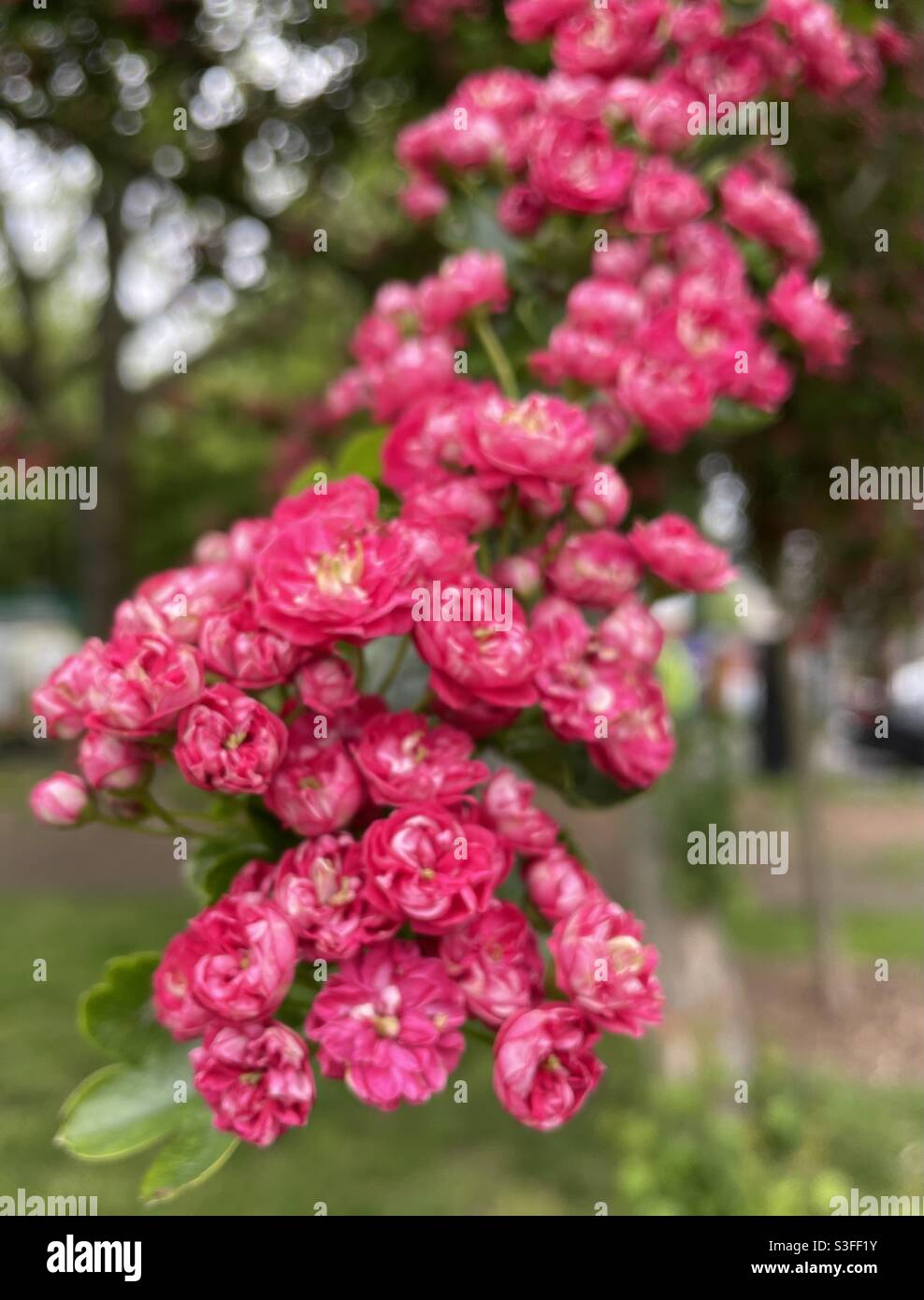 Dull and grey hi-res stock photography and images - Alamy