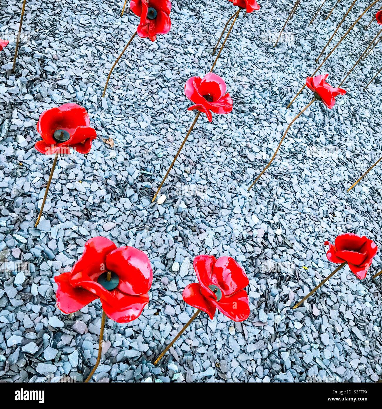 Ww1 centenary hi-res stock photography and images - Alamy