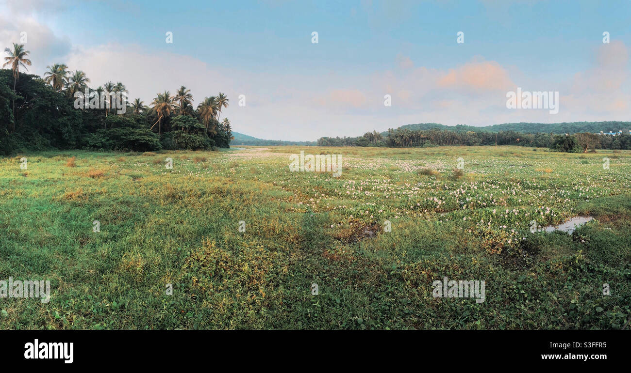 Siolim goa india hi-res stock photography and images - Alamy