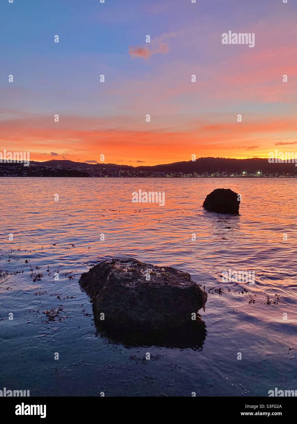 Miramar peninsula hi-res stock photography and images - Alamy