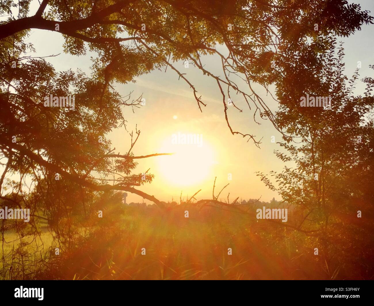 Sunrise in rural landscape Stock Photo - Alamy