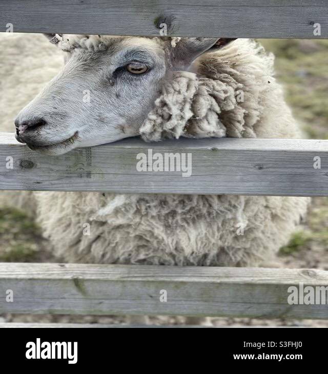 Dayout hi-res stock photography and images - Alamy