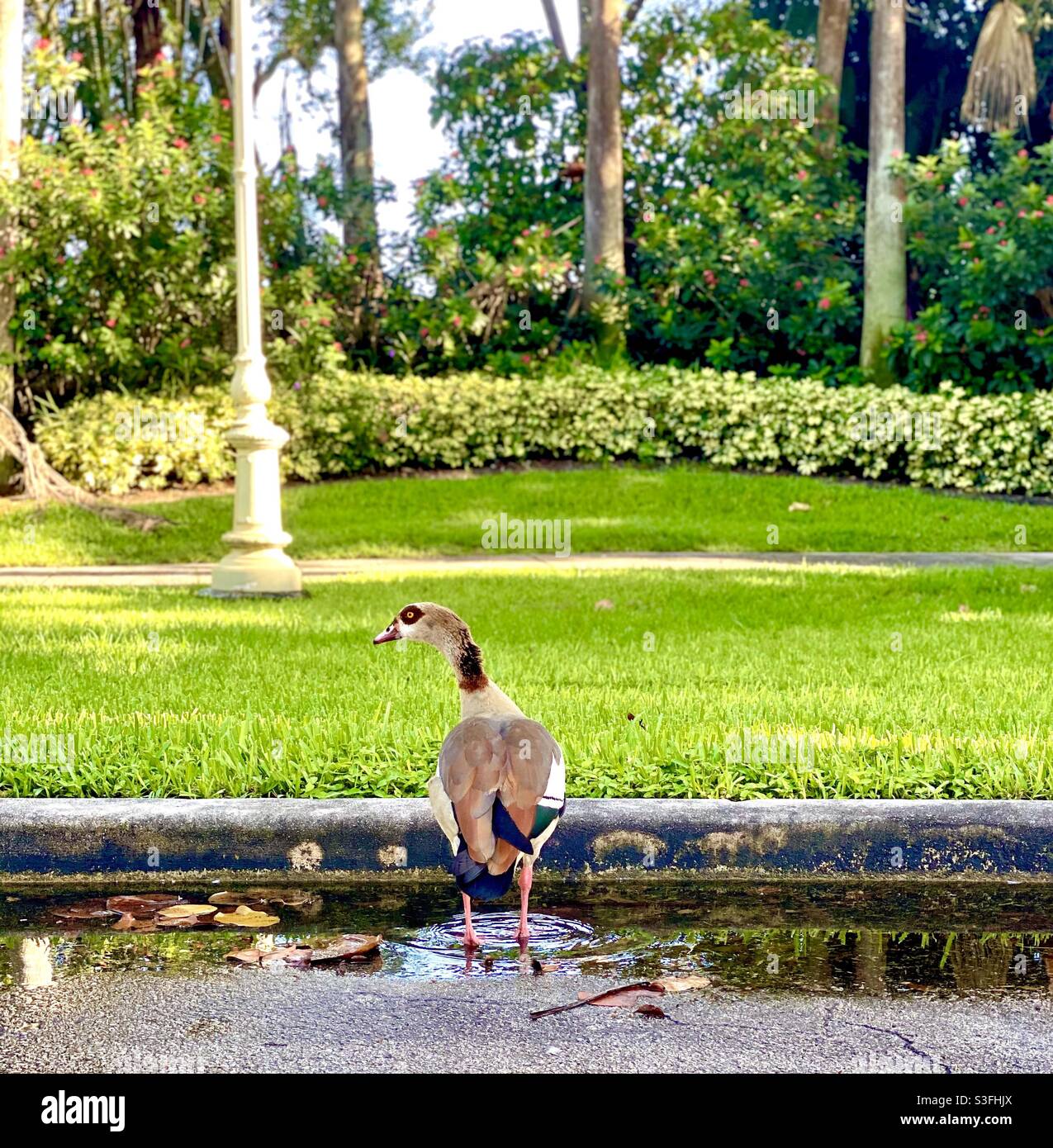 Side eye hi-res stock photography and images - Alamy