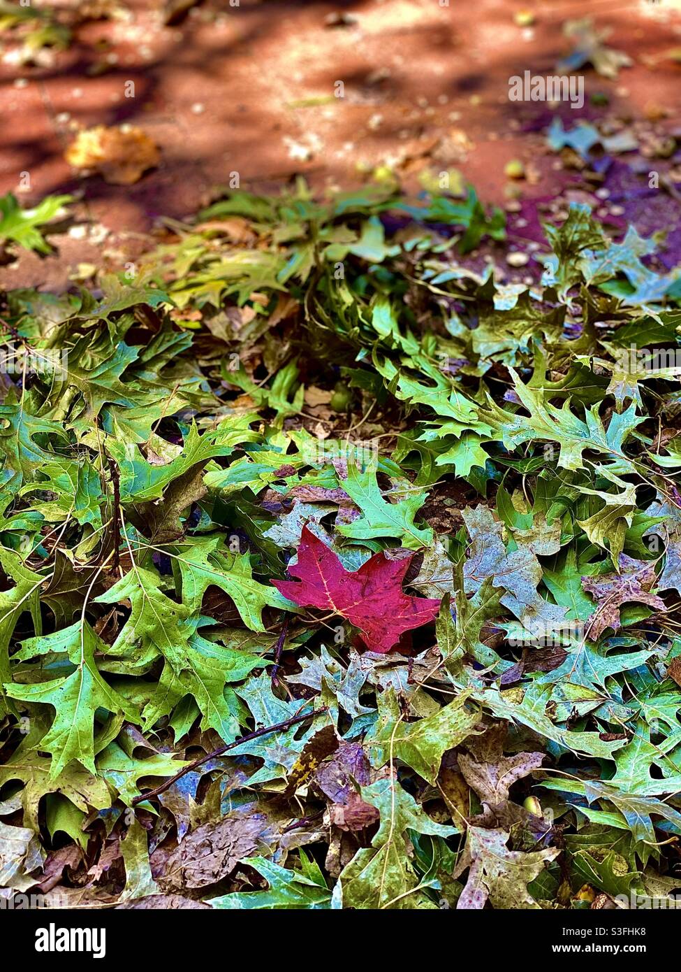 Different than the rest hi-res stock photography and images - Alamy