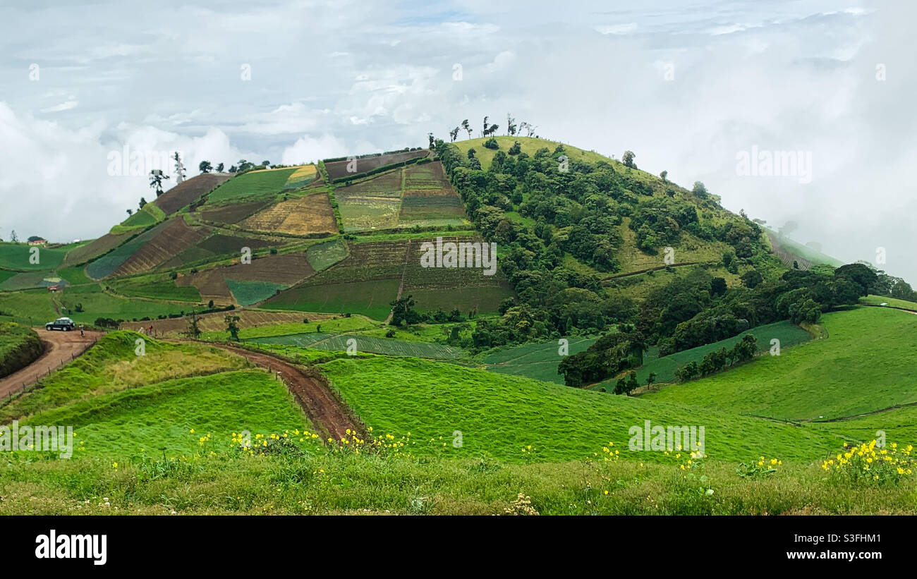 Cartago hi-res stock photography and images - Alamy