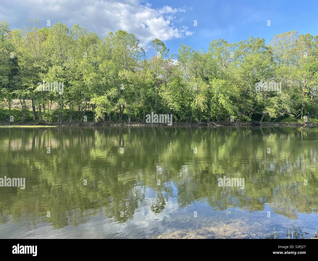 Trees reflecting on the James River Stock Photo - Alamy