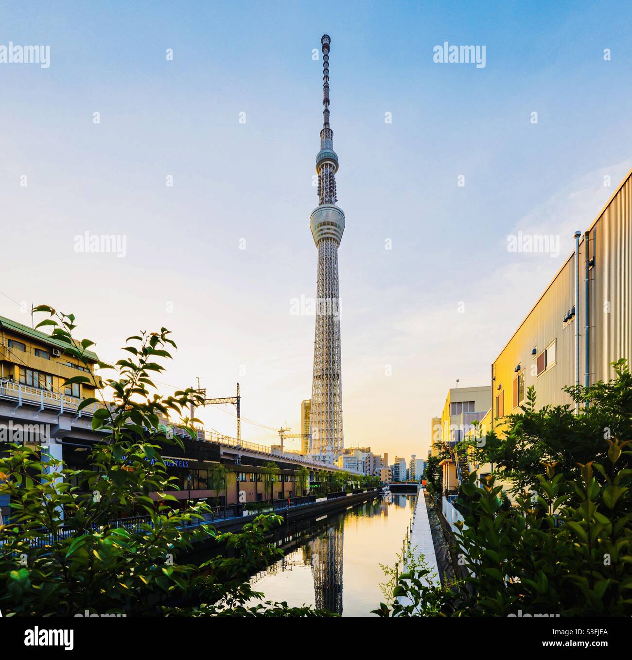 Sumida City | atelier-yuwa.ciao.jp