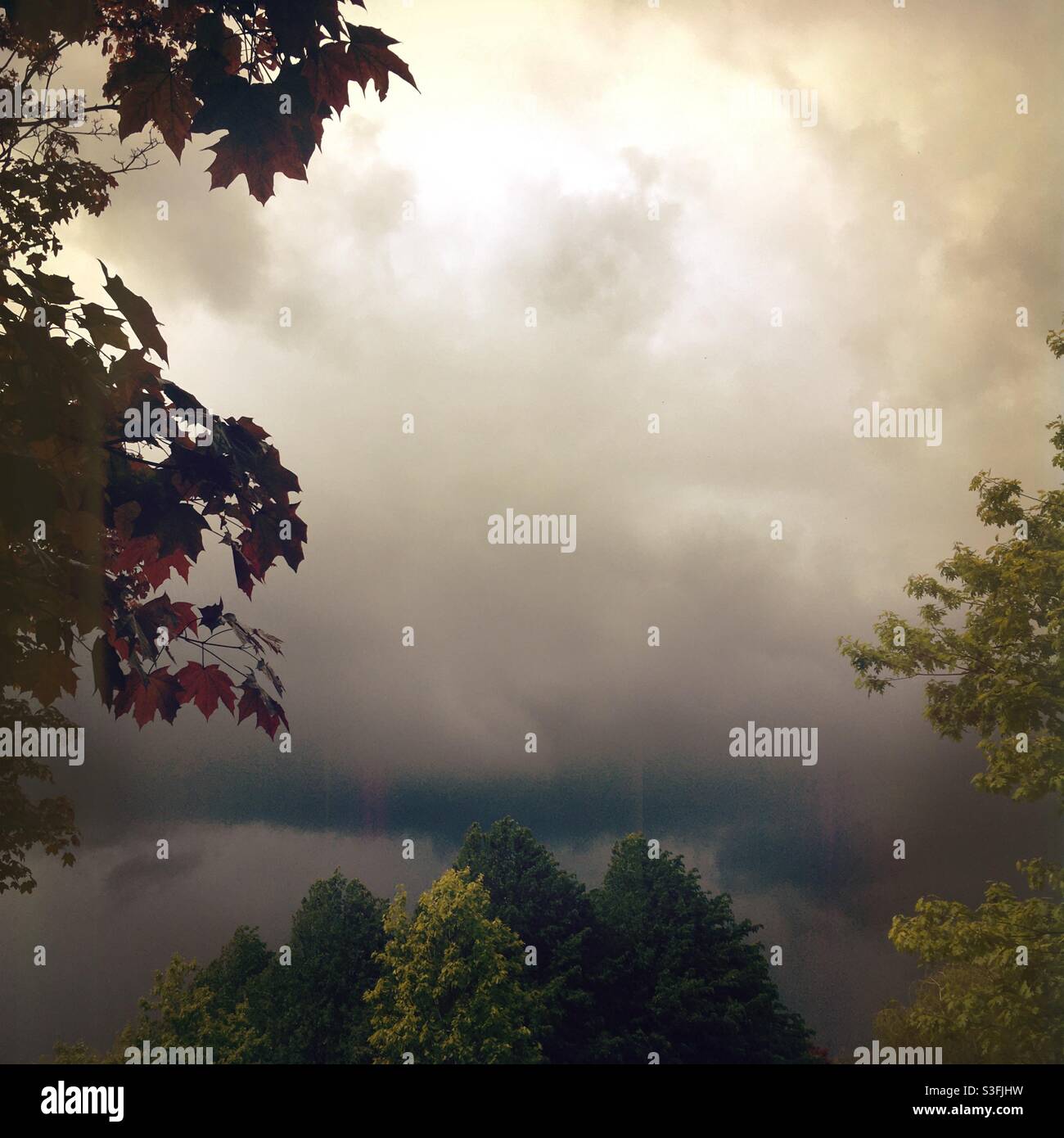 Neutral colours hi-res stock photography and images - Alamy