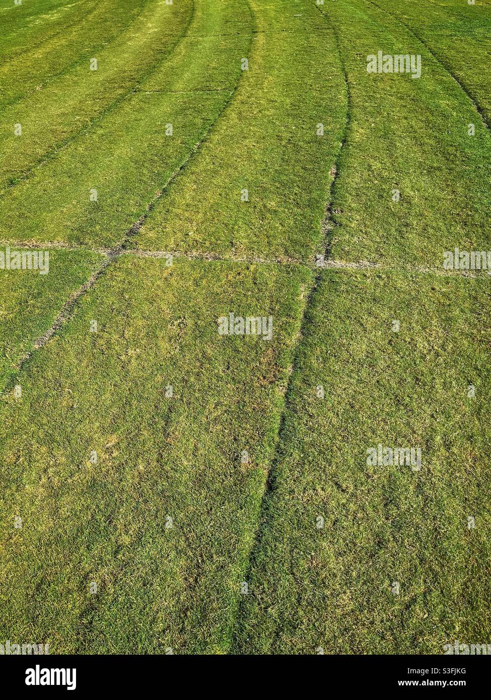 Grass track hi-res stock photography and images - Alamy