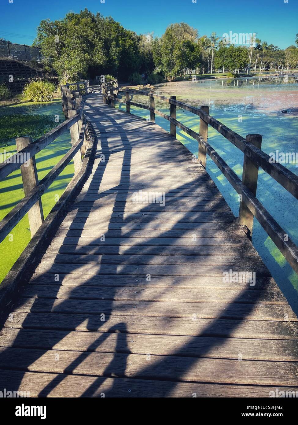 Walkway over water in Centenary Lakes Park, Caboolture, Queensland ...