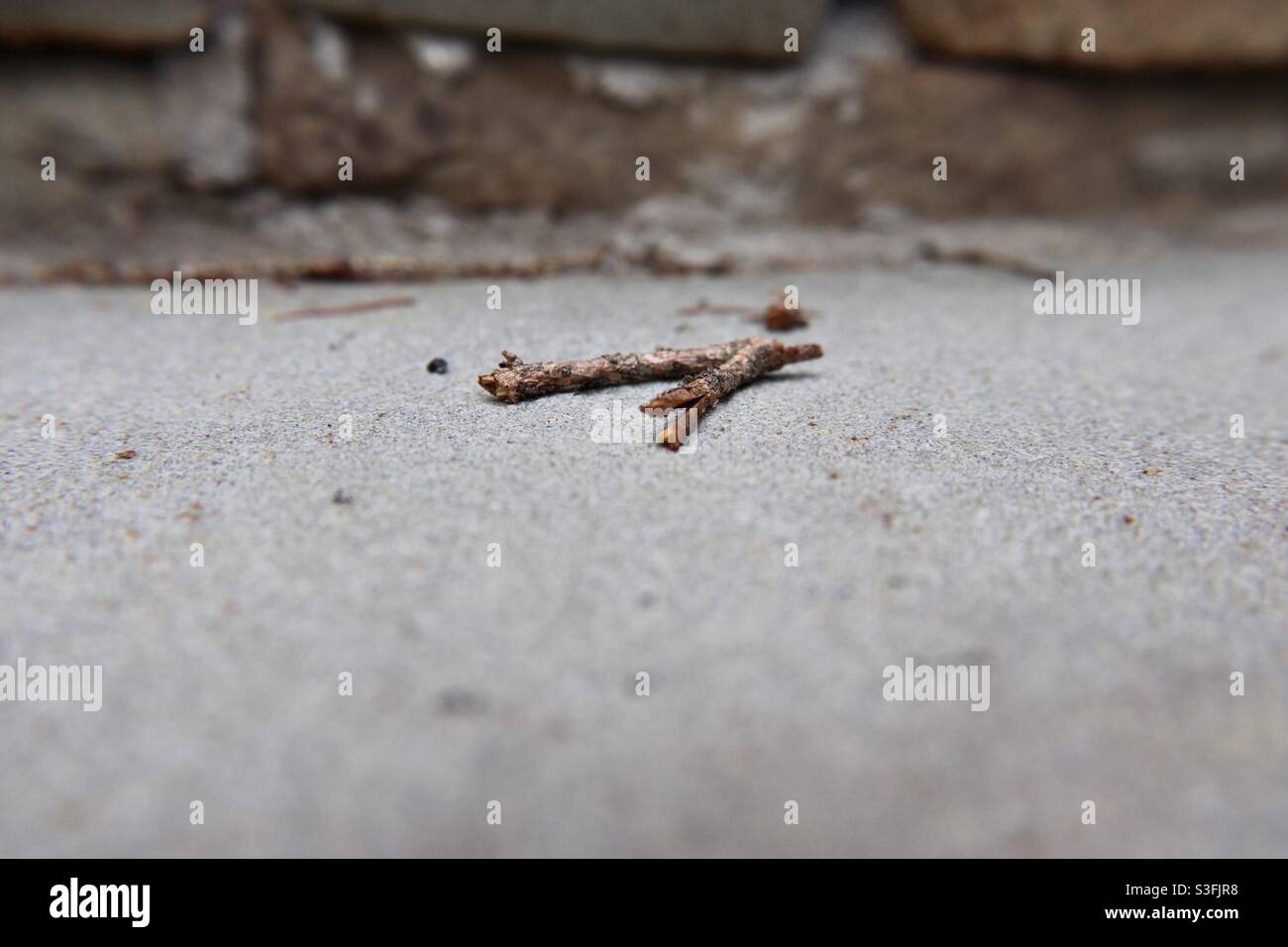 Yard Sticks High Resolution Stock Photography and Images - Alamy