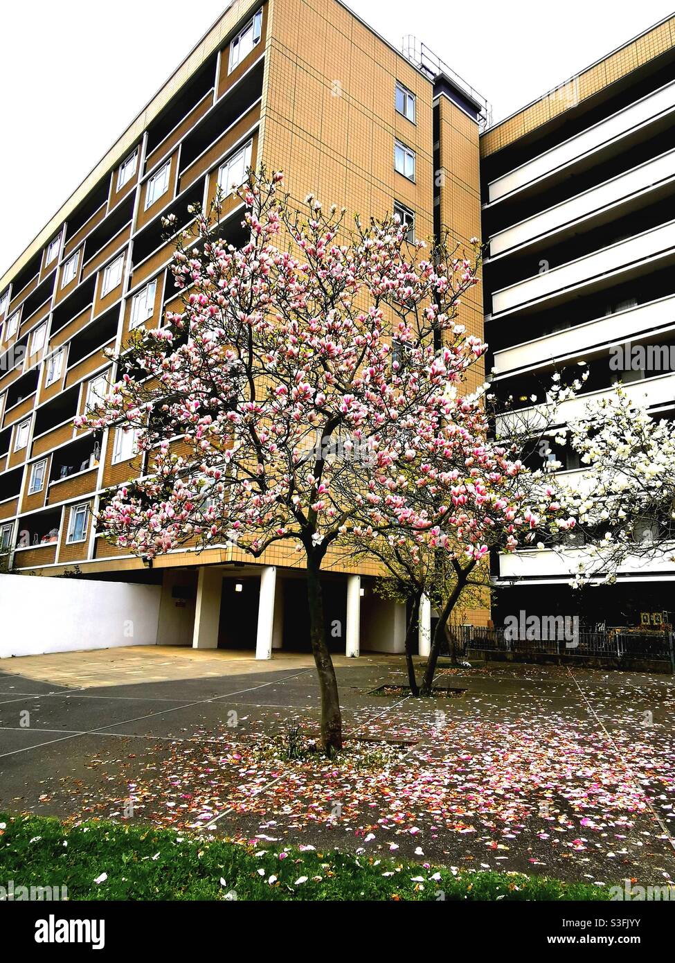 Magnolia building hi-res stock photography and images - Alamy