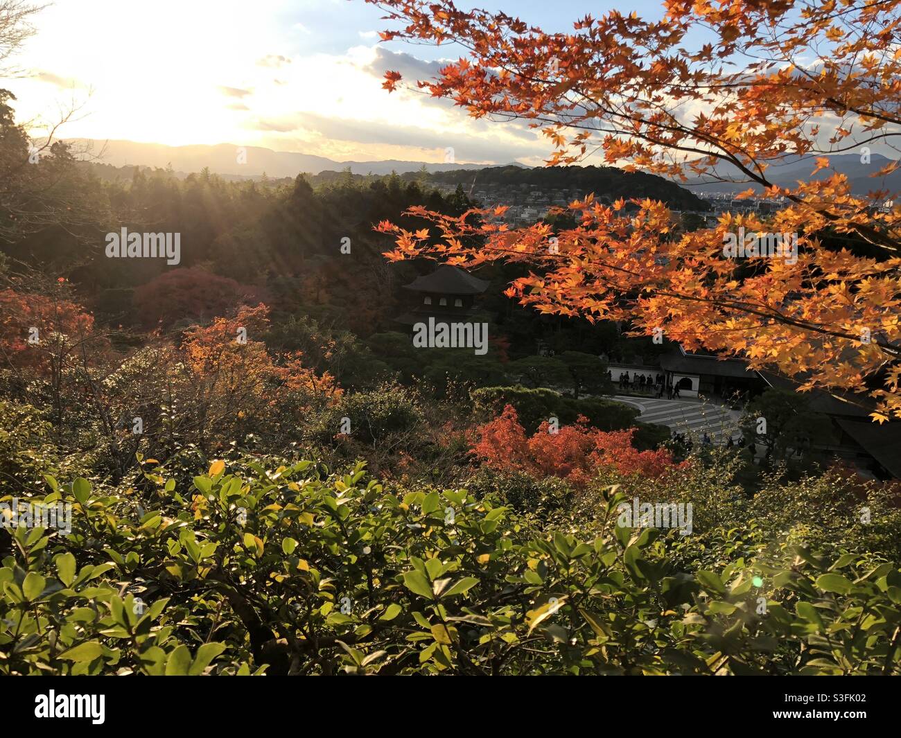 Fall leaves kyoto hi-res stock photography and images - Alamy
