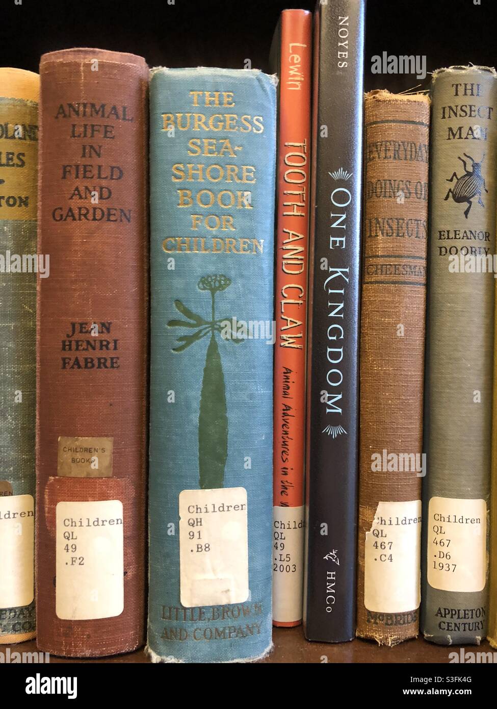 Vintage library hi-res stock photography and images - Alamy