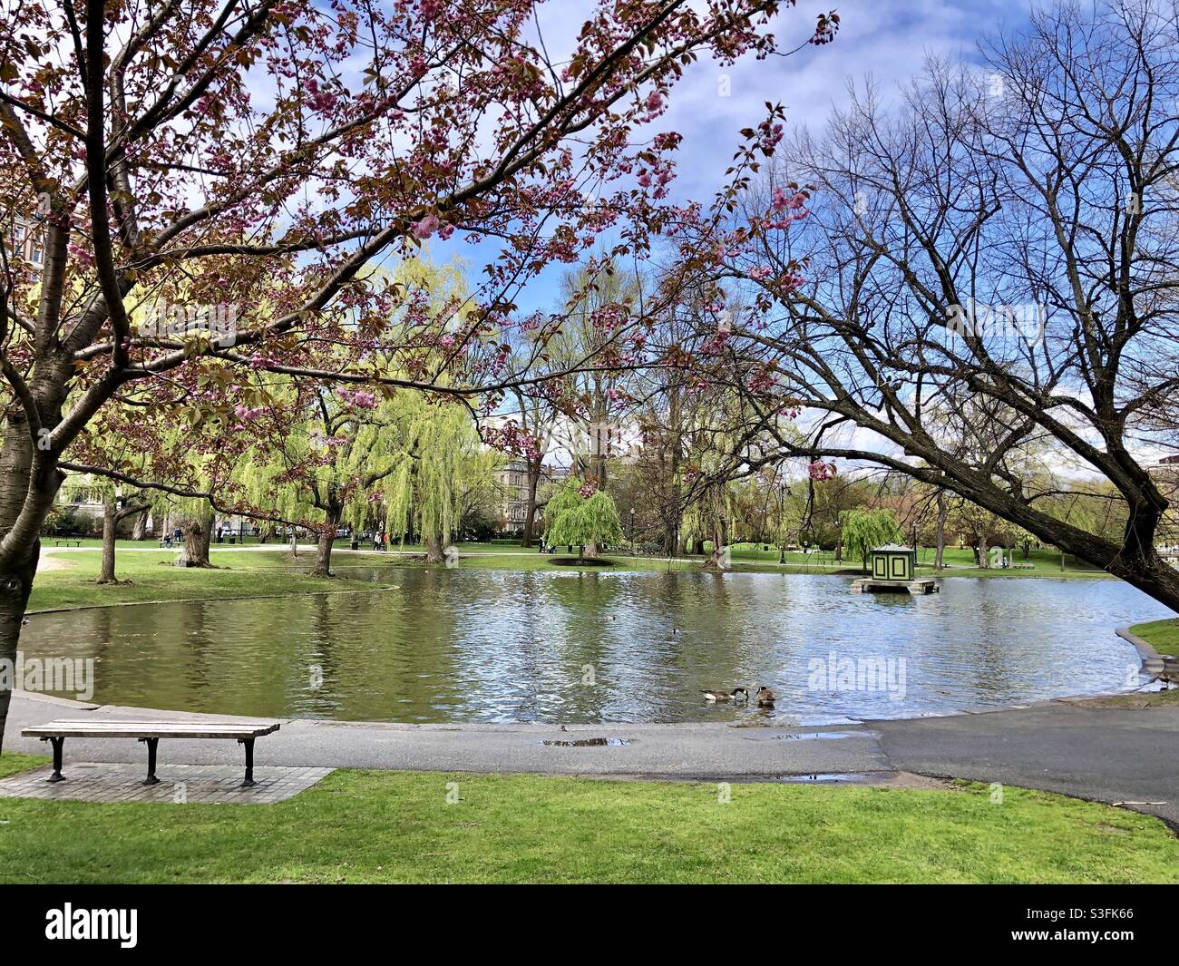 Boston commons hi-res stock photography and images - Alamy